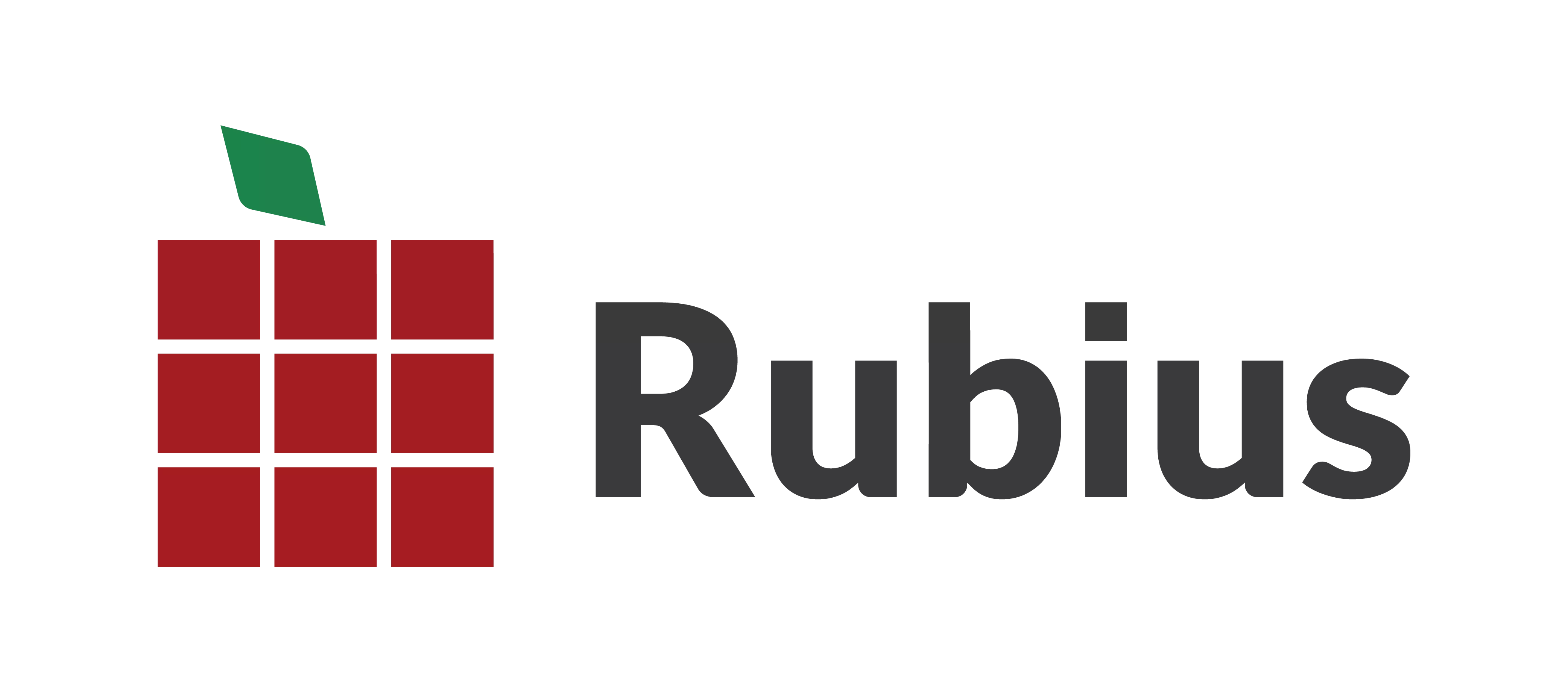 Рубиус Тех — Разработчик программного обеспечения